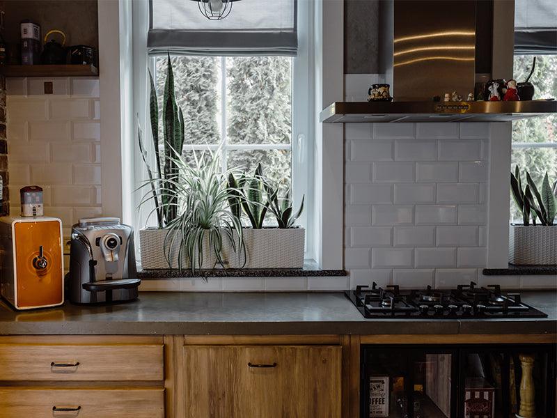 The Silent Culprit: Unveiling the Detrimental Effects of Poor Kitchen